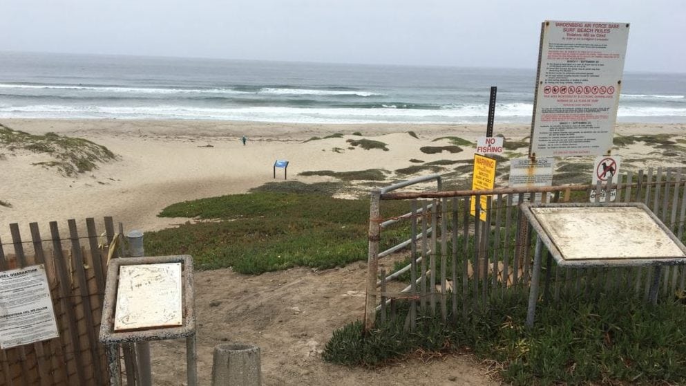 Vandenberg beaches reopen after Snowy Plover nesting season