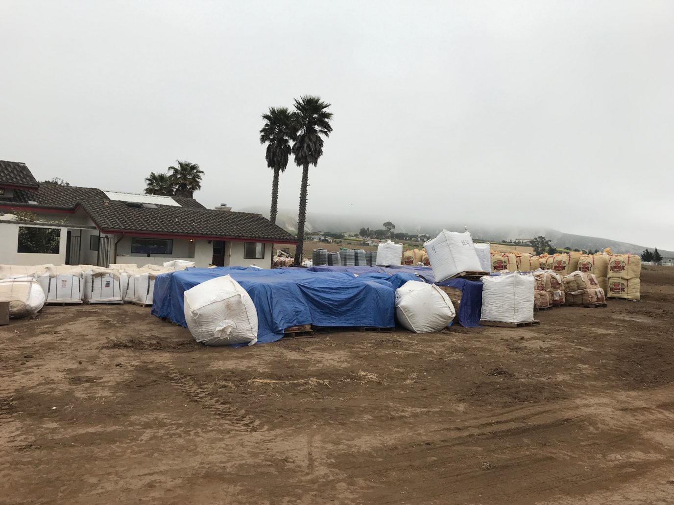 Detectives serve warrants at illegal cannabis operations near ...