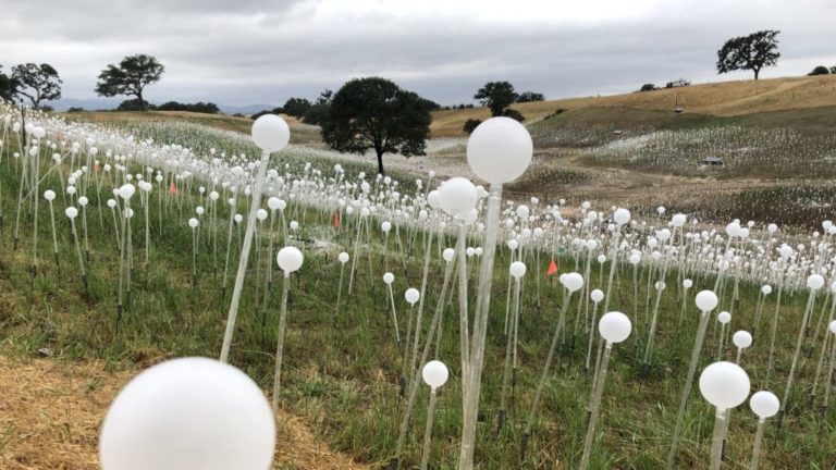 Sensorio light display to open this month in Paso Robles